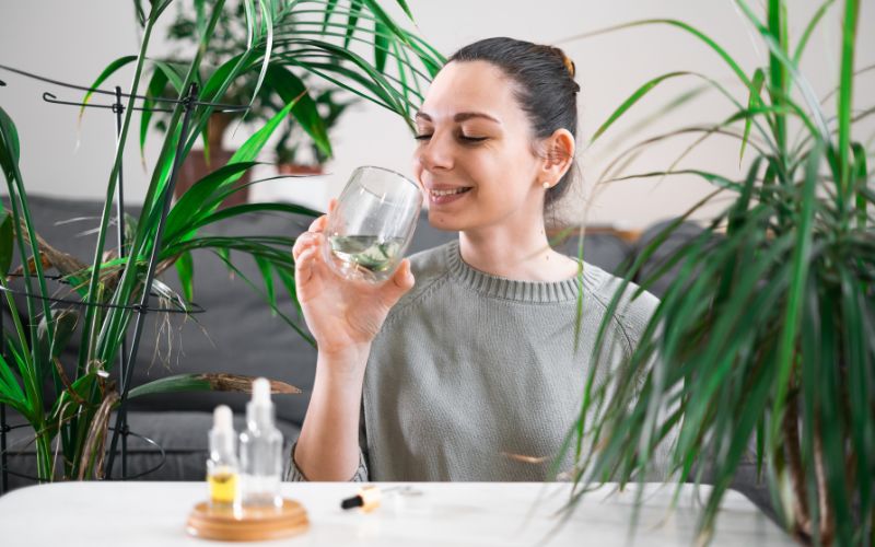 Propiedades De La Chlorella: Descubre La Chlorella Y Sus Beneficios ...